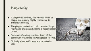 Black Plague.pptx