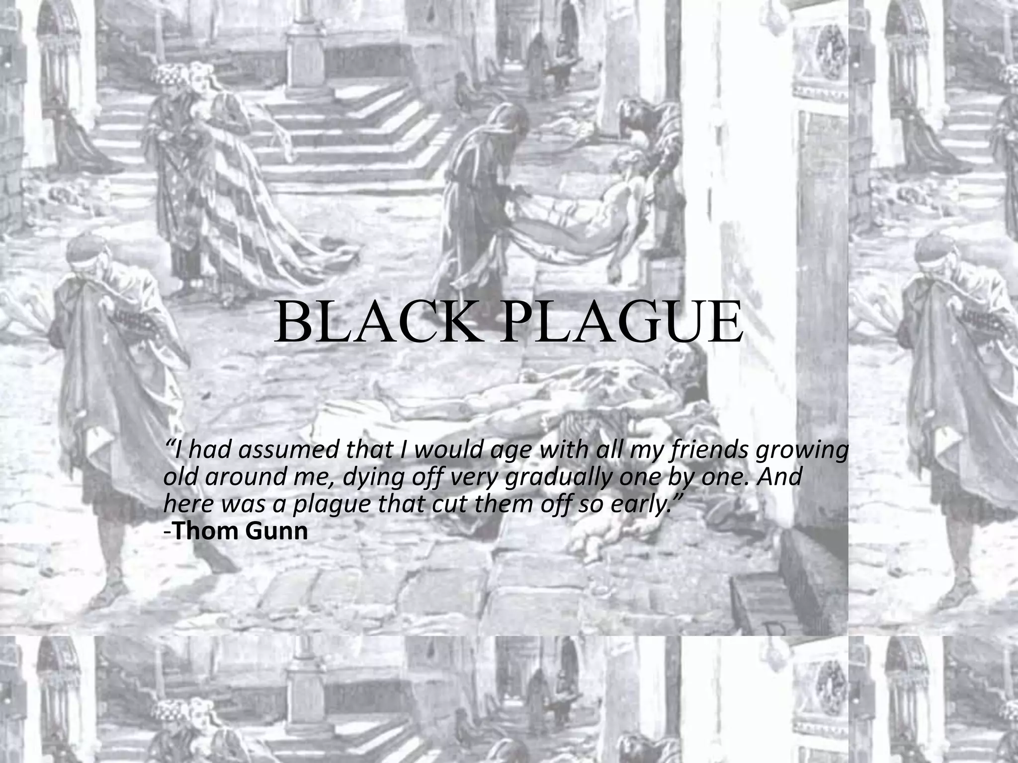 Black Plague Overview Pptx