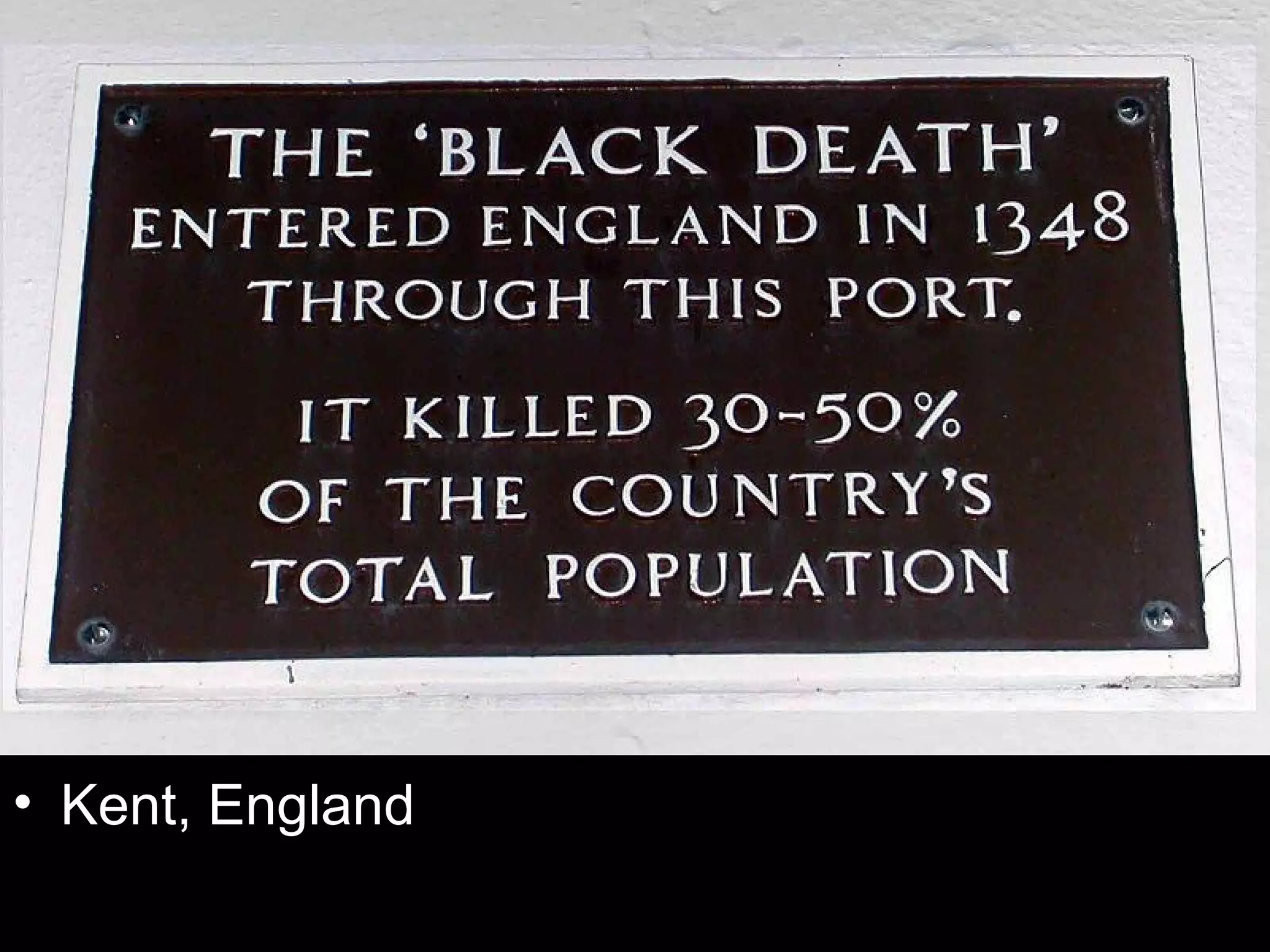 Black plague wed thur | PPT