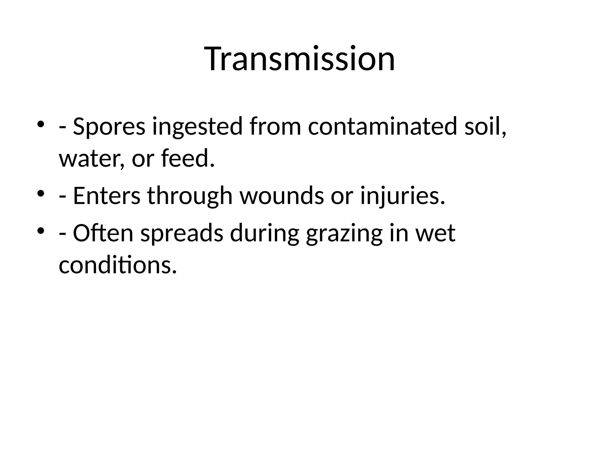 Black_Quarter_Presentation an overviewpptx | PPTX