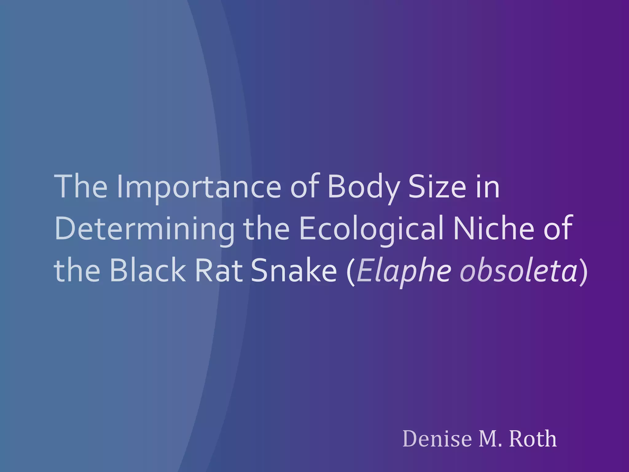 Black Ratsnake Class Presentation | PPTX