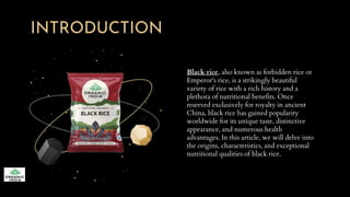Black Rice.pptx