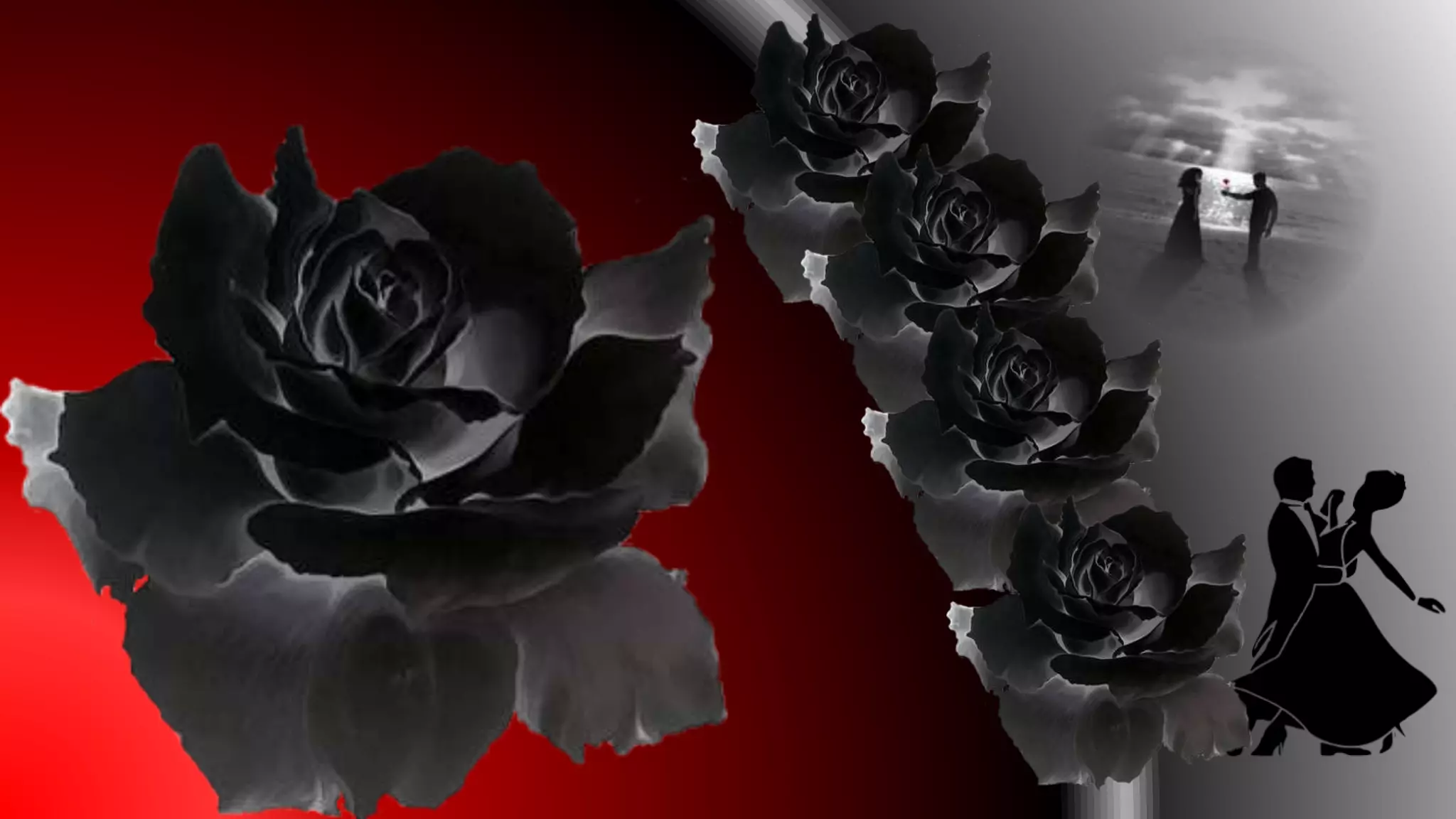 Black Rose Of Halfeti,Turkey | PPT