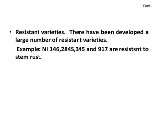 Black rust of whete | PPTX