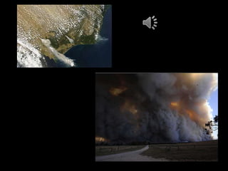 Black saturday bushfires slideshow | PPT