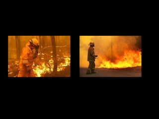 Black saturday bushfires slideshow | PPTX