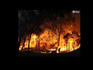Black saturday bushfires slideshow | PPT