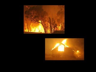 Black saturday bushfires slideshow | PPT