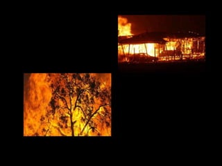 Black saturday bushfires slideshow | PPT | Free Download