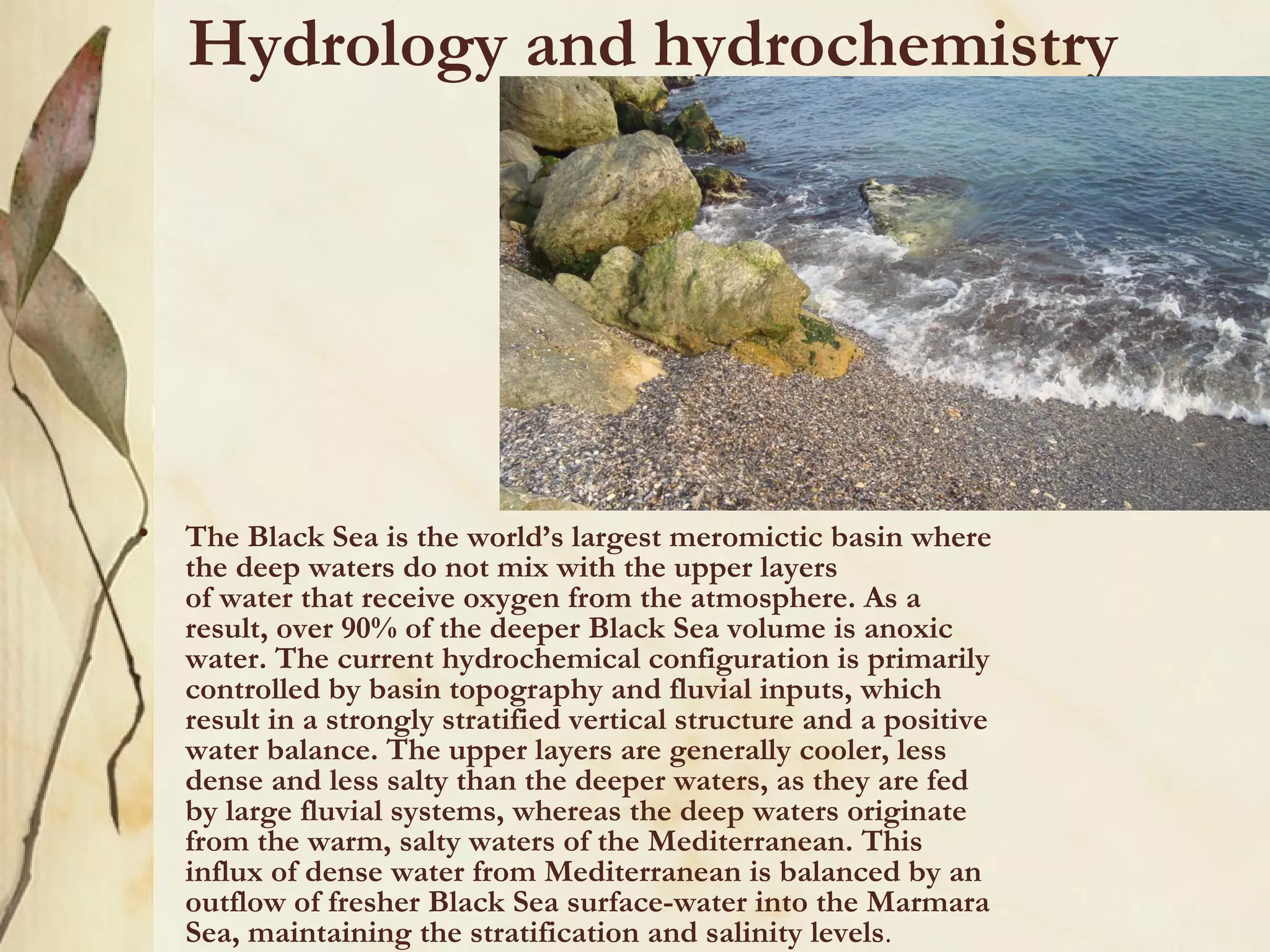 Black sea | PPT