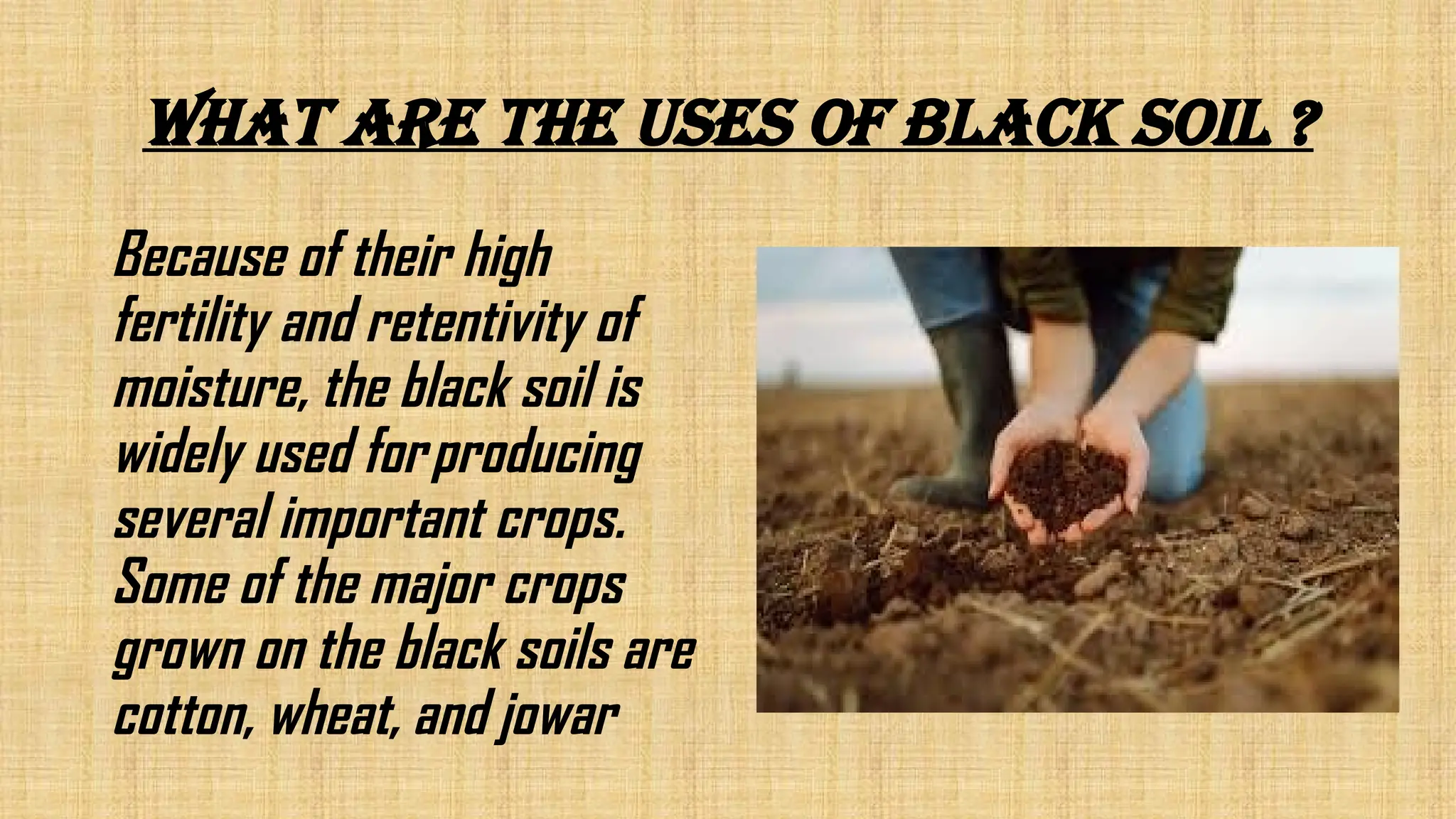 black soil ppt for students for free and useful | PPTX