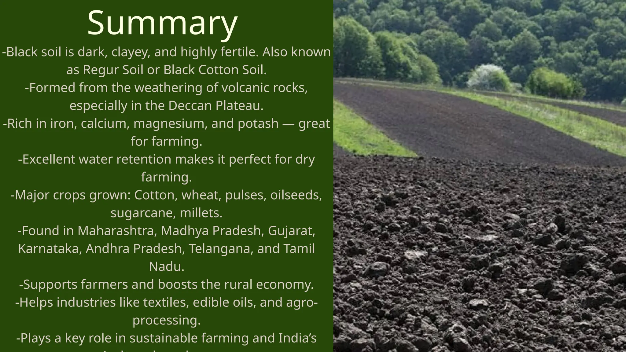 black soil.pptx ppt on black soil | PPTX