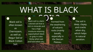 black soil.pptx ppt on black soil | PPTX