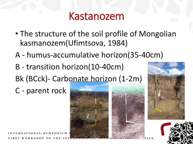 Black soils of Mongolia - Enkhtuya Bazarradnaa | PPT