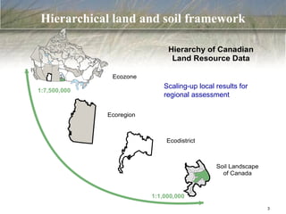 Black Soils and Digital Soil Mapping in Canada - Xiaoyuan Geng, Brian ...