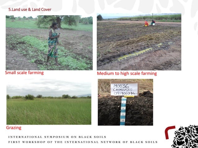 Black Soils in Mozambique - Jose Tomo | PDF