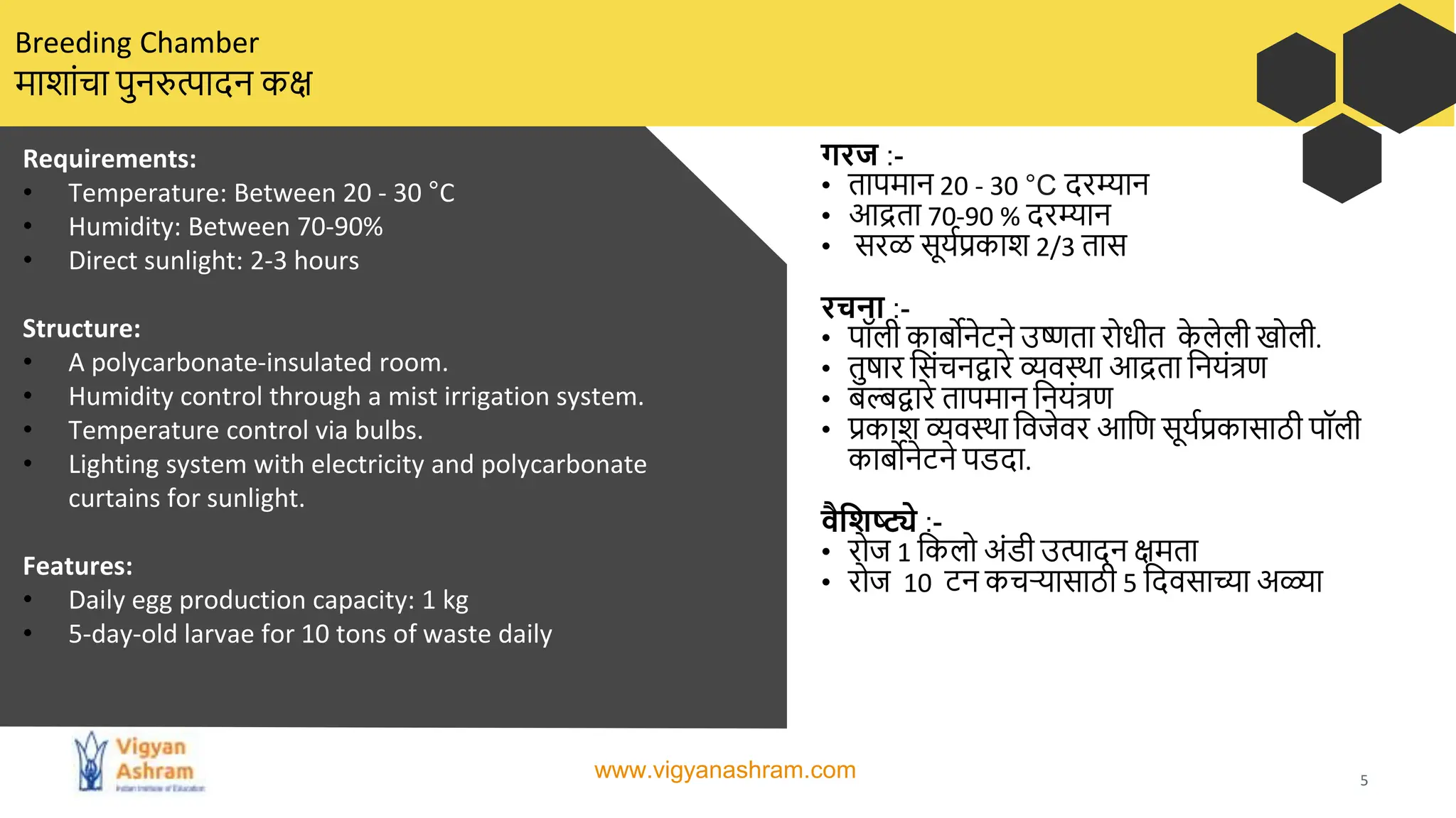 . Black soldier fly (BSF) | PPT