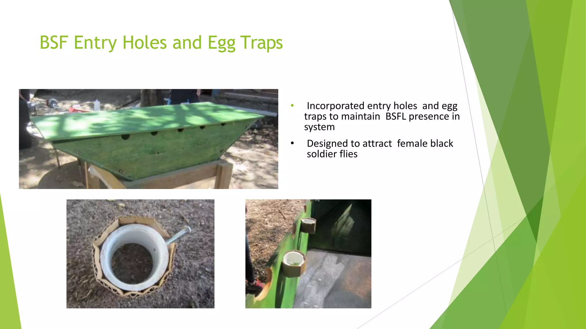 Black soldier fly composting | PPTX