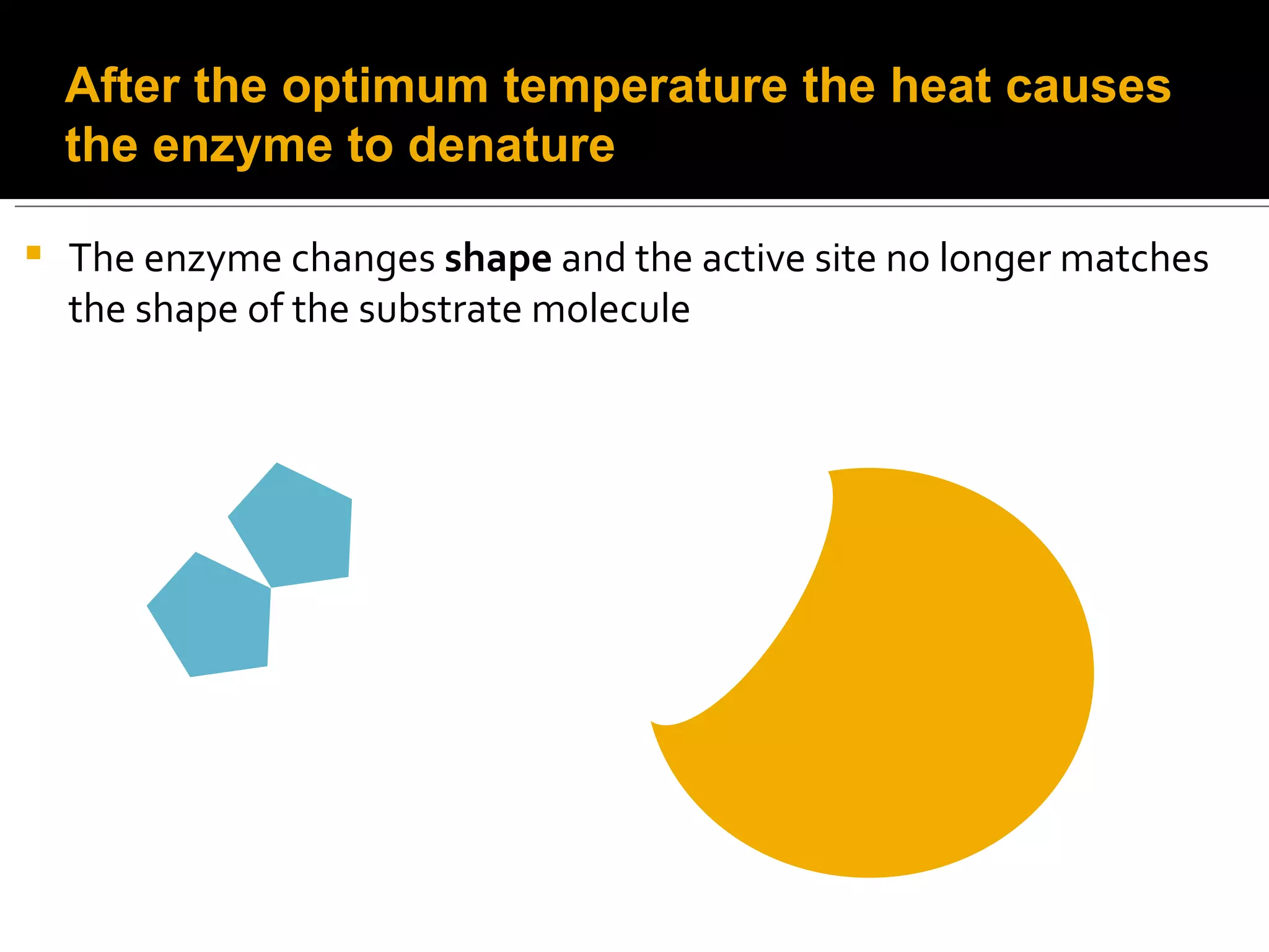 Effect of Temperature and pH on enzyme activity | PPT