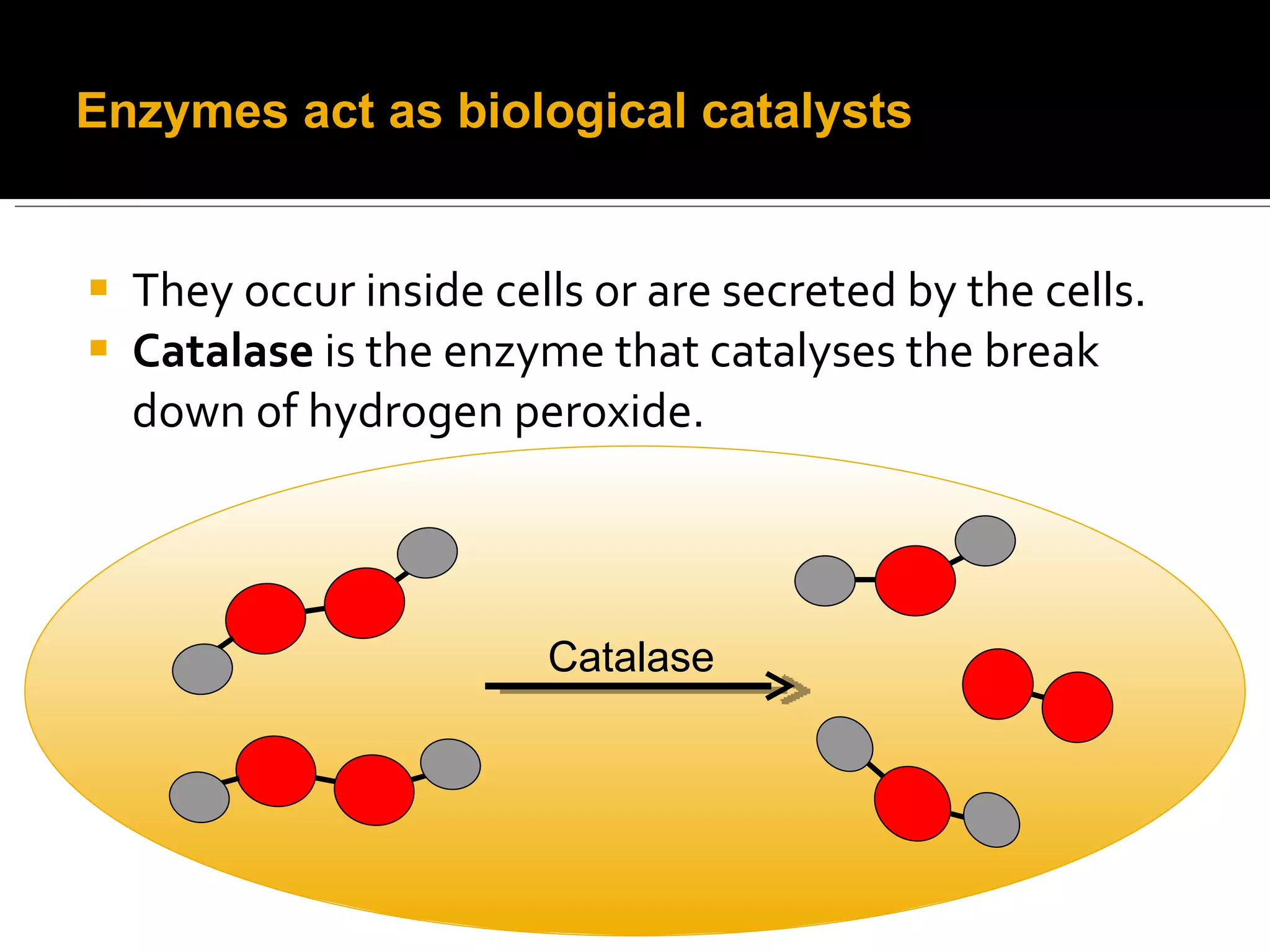 Effect of Temperature and pH on enzyme activity | PPT