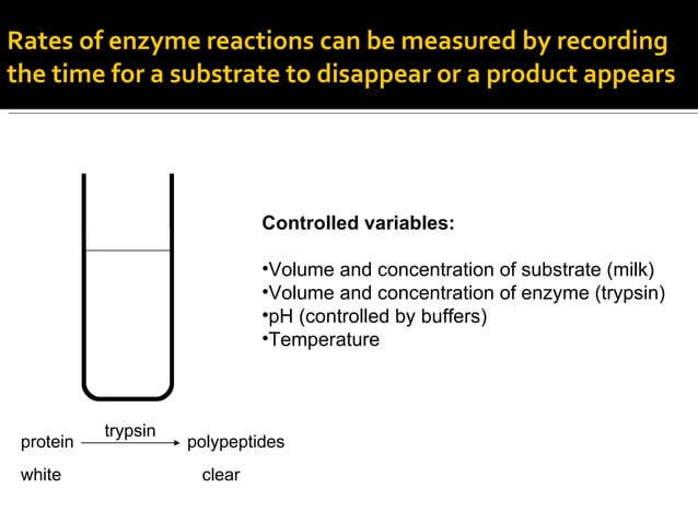 Effect of Temperature and pH on enzyme activity | PPT | Chemistry | Science