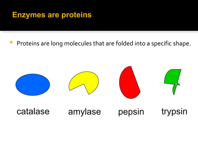 Effect of Temperature and pH on enzyme activity | PPT | Chemistry | Science