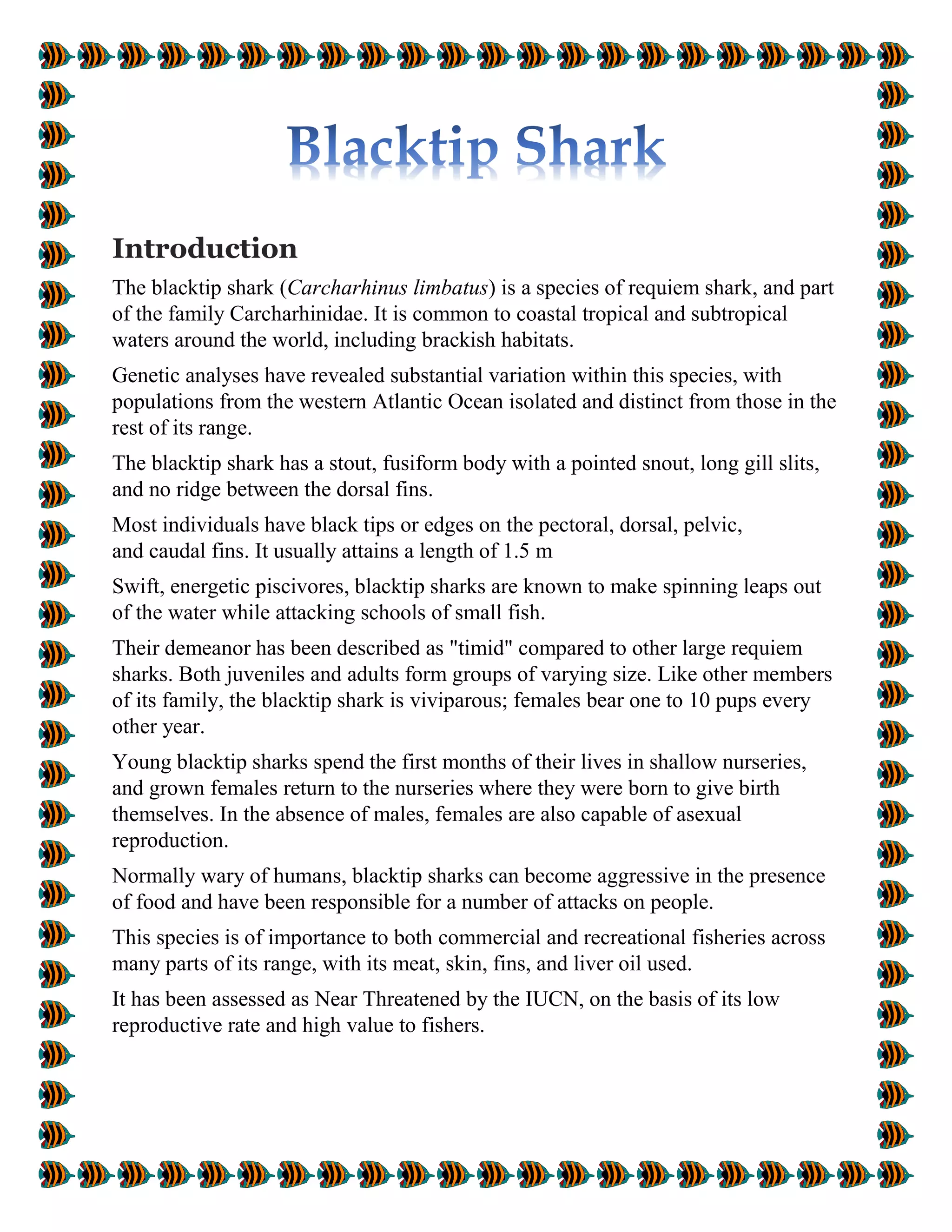 Black tip shark | PDF