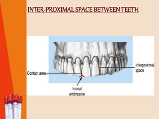 Black triangle Management Journal Presentation | PPTX