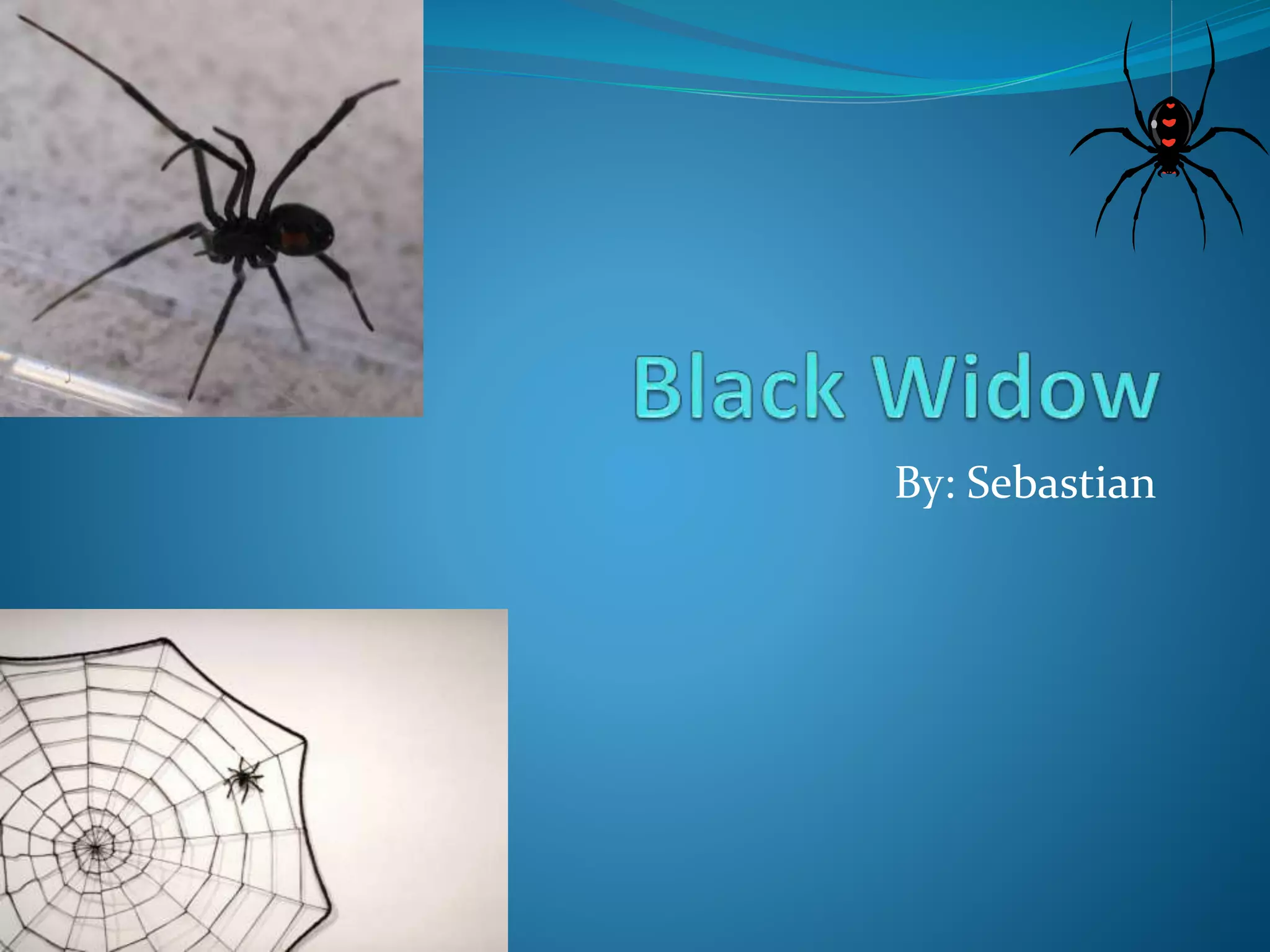 Black widow project | PPT