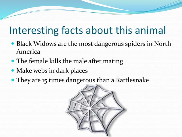 Black widow project | PPT