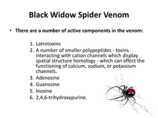 Black widow spider alpha latrotoxin edited | PPTX