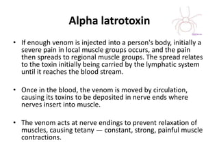 Black widow spider alpha latrotoxin edited | PPTX