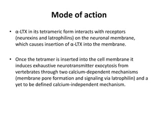 Black widow spider alpha latrotoxin edited | PPTX