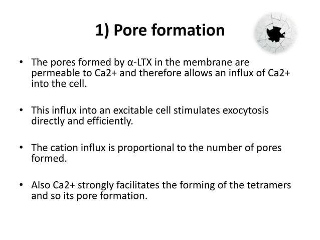 Black widow spider alpha latrotoxin edited | PPTX