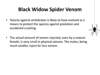 Black widow spider alpha latrotoxin edited | PPTX