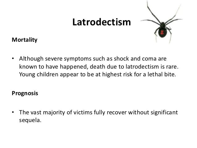 Black widow spider alpha latrotoxin edited