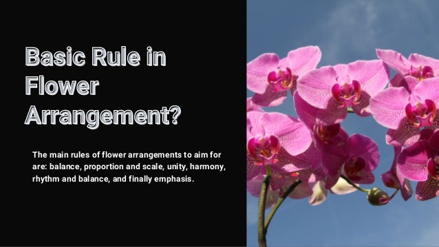 Learn How to Arrange Flowers | PDF