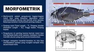 taksonomi dan identifikasi ikan - mata kuliah iktiologi - materi sesi 3 | PDF