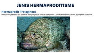 taksonomi dan identifikasi ikan - mata kuliah iktiologi - materi sesi 3 ...