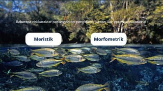 taksonomi dan identifikasi ikan - mata kuliah iktiologi - materi sesi 3 ...