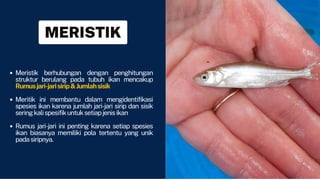 taksonomi dan identifikasi ikan - mata kuliah iktiologi - materi sesi 3 ...