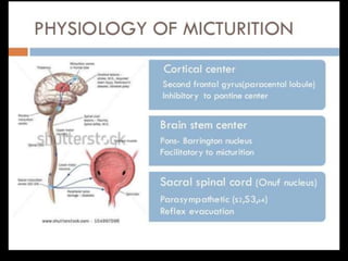 Bladder - UMN Versus LMN bladder | PPTX