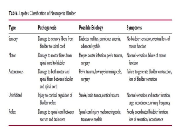 Bladder - UMN Versus LMN bladder | PPTX