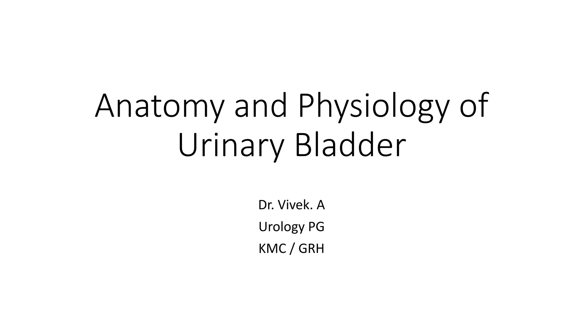 bladder.pptx