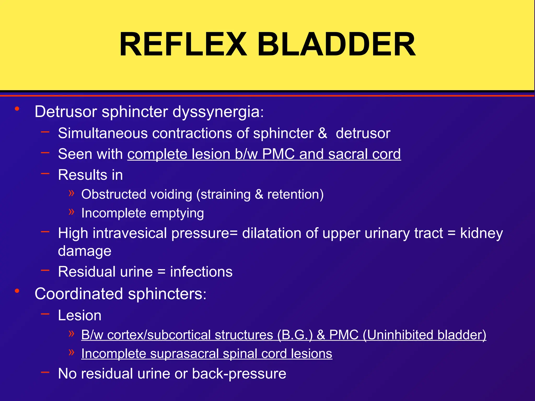 bladder anatomy and physiology and related disorders | PPTX | Brain and ...