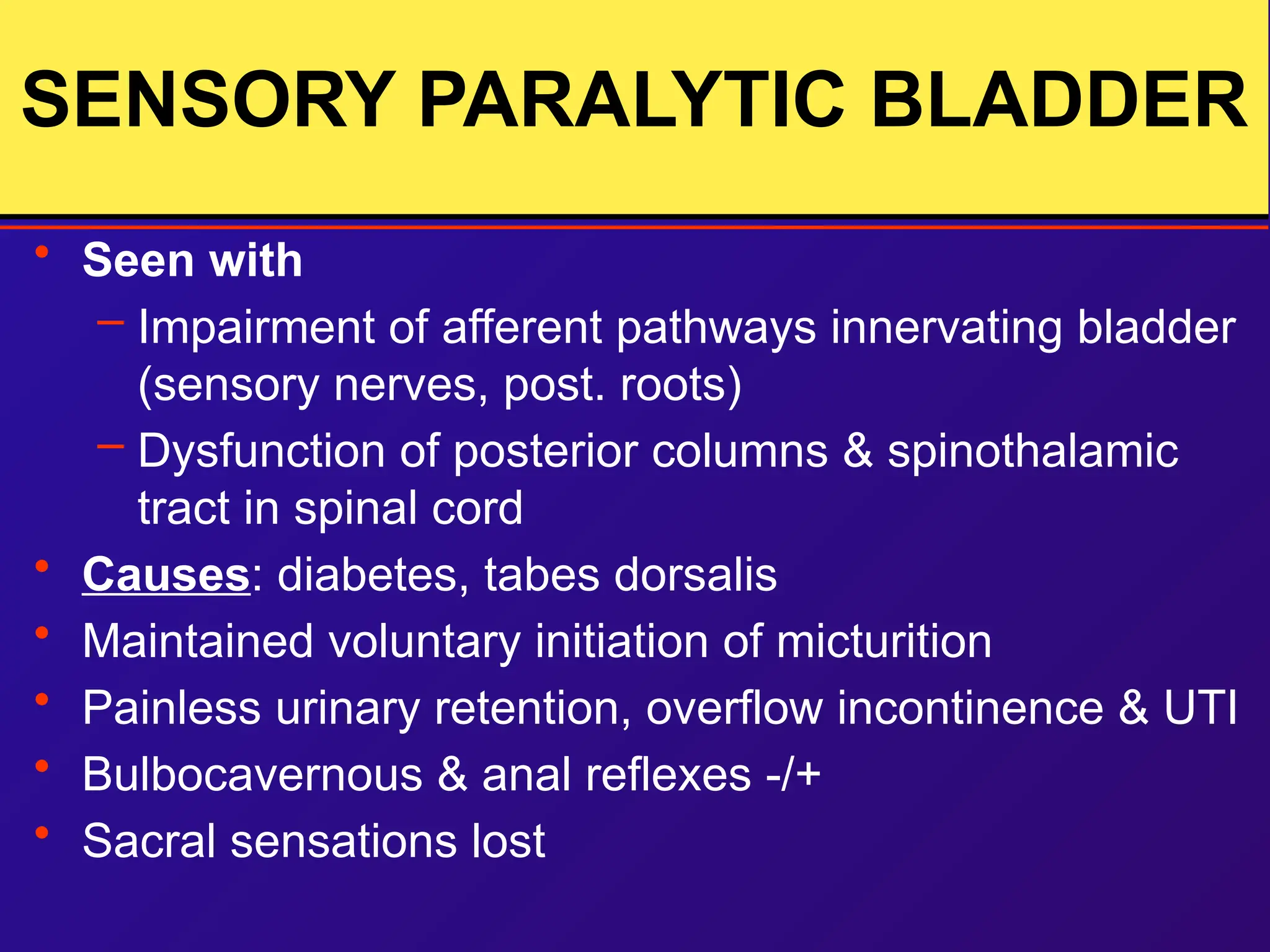 bladder anatomy and physiology and related disorders | PPTX | Brain and ...