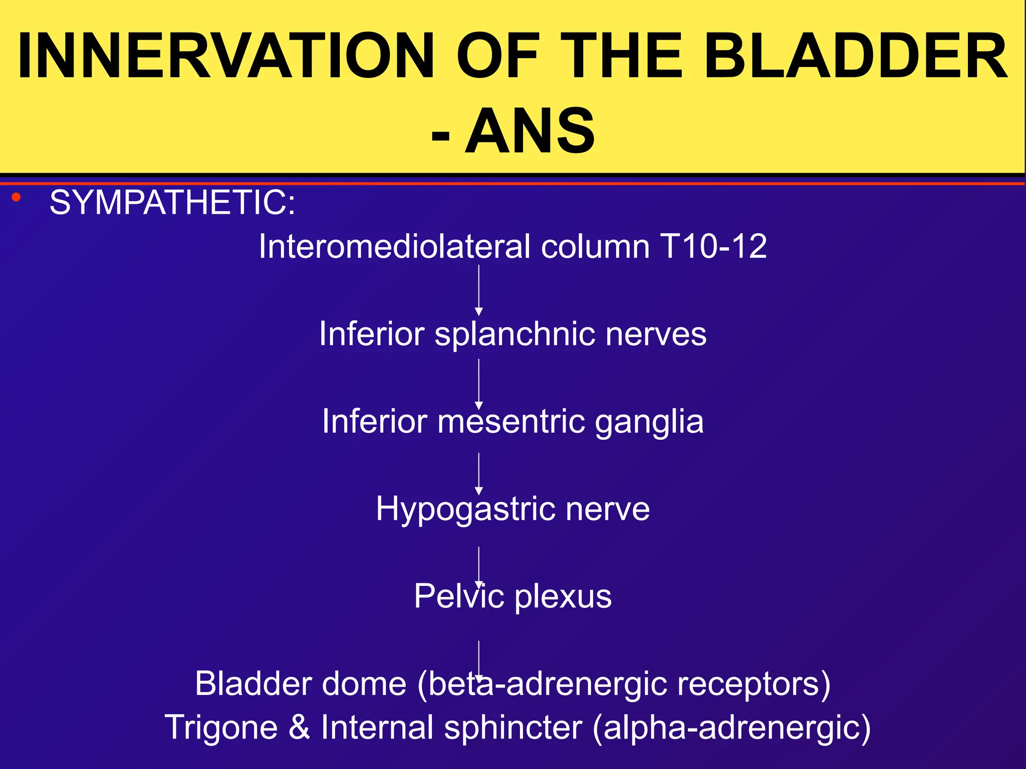 bladder anatomy and physiology and related disorders | PPTX | Brain and ...