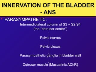 bladder anatomy and physiology and related disorders | PPTX