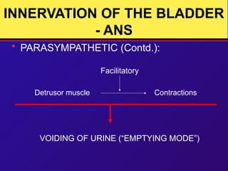 bladder anatomy and physiology and related disorders | PPTX