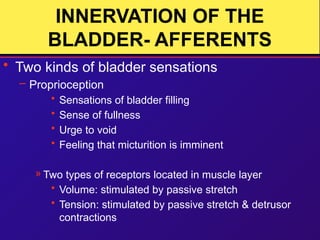 bladder anatomy and physiology and related disorders | PPTX